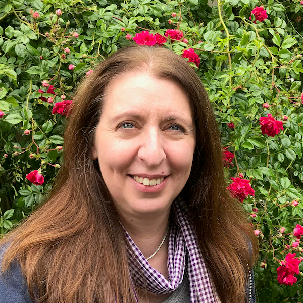 Challenges and opportunities, teaching online during a global pandemic ...