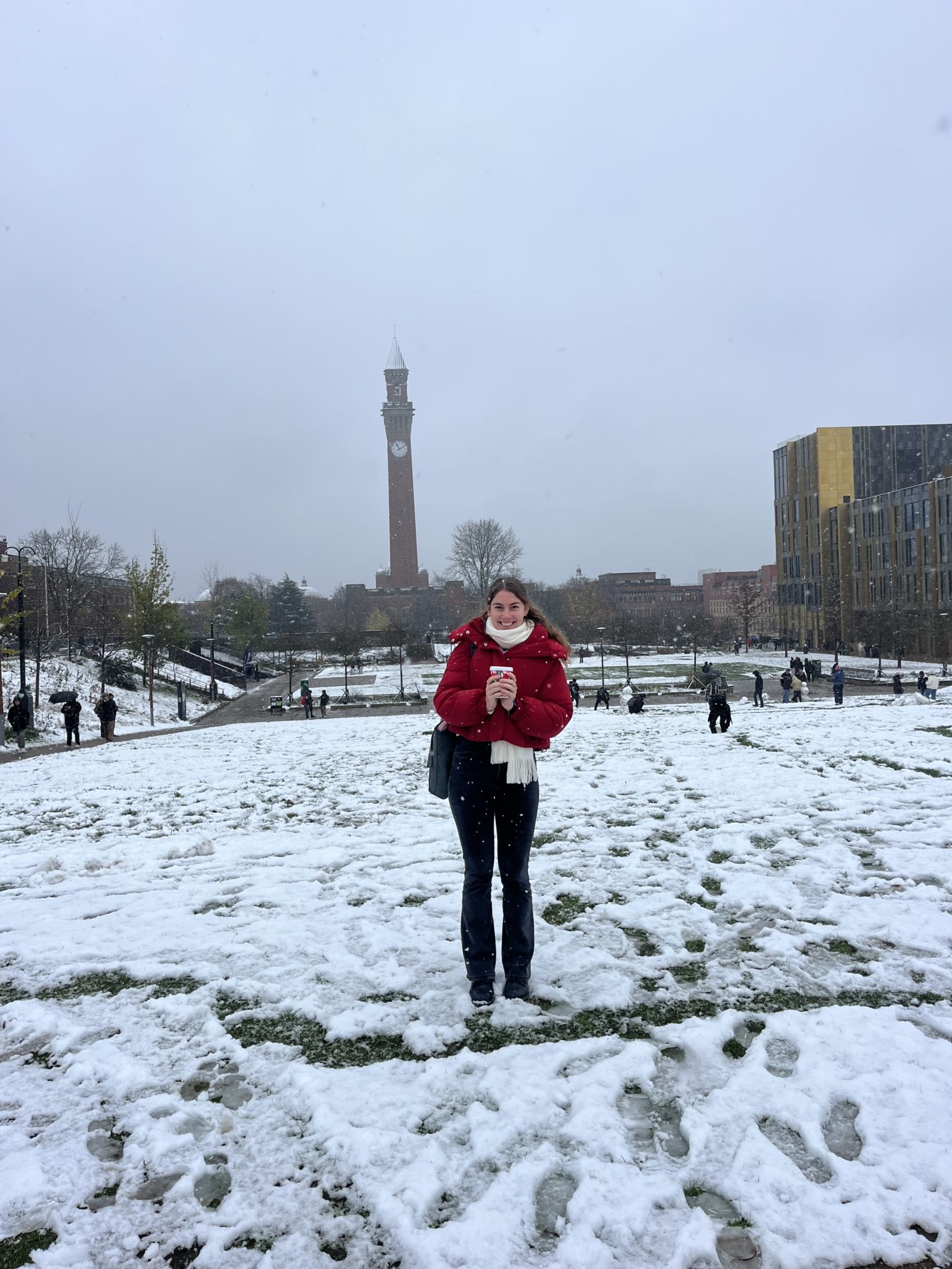 Bayesian Modelling of Rising Decision Thresholds in DDMs using BlueBEAR ...