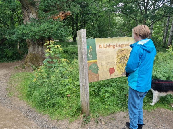 Looking at Elinor Catton’s Birnam Wood, The Diplomat, Hamilton, and ...