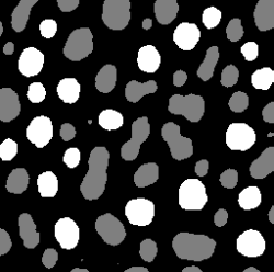 Classify Particles – Novel context-based segmentation algorithms for intelligent microscopy